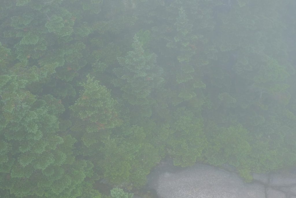 Uma Musume Error 390 Explained & Solved