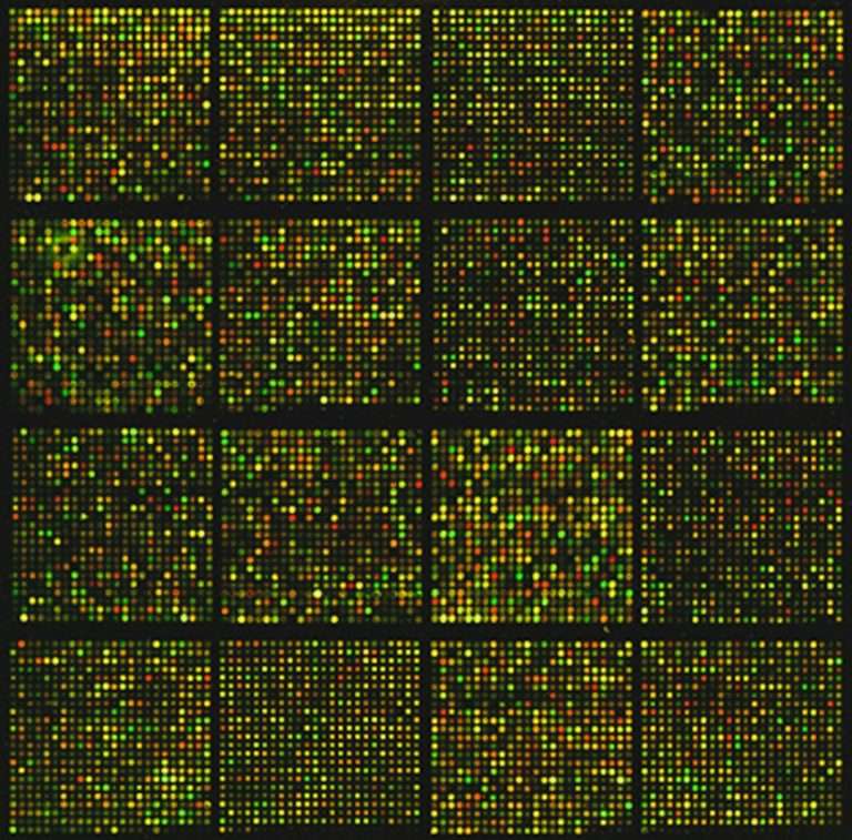 How to Open and Edit FASTA File Format for DNA and Protein Sequences